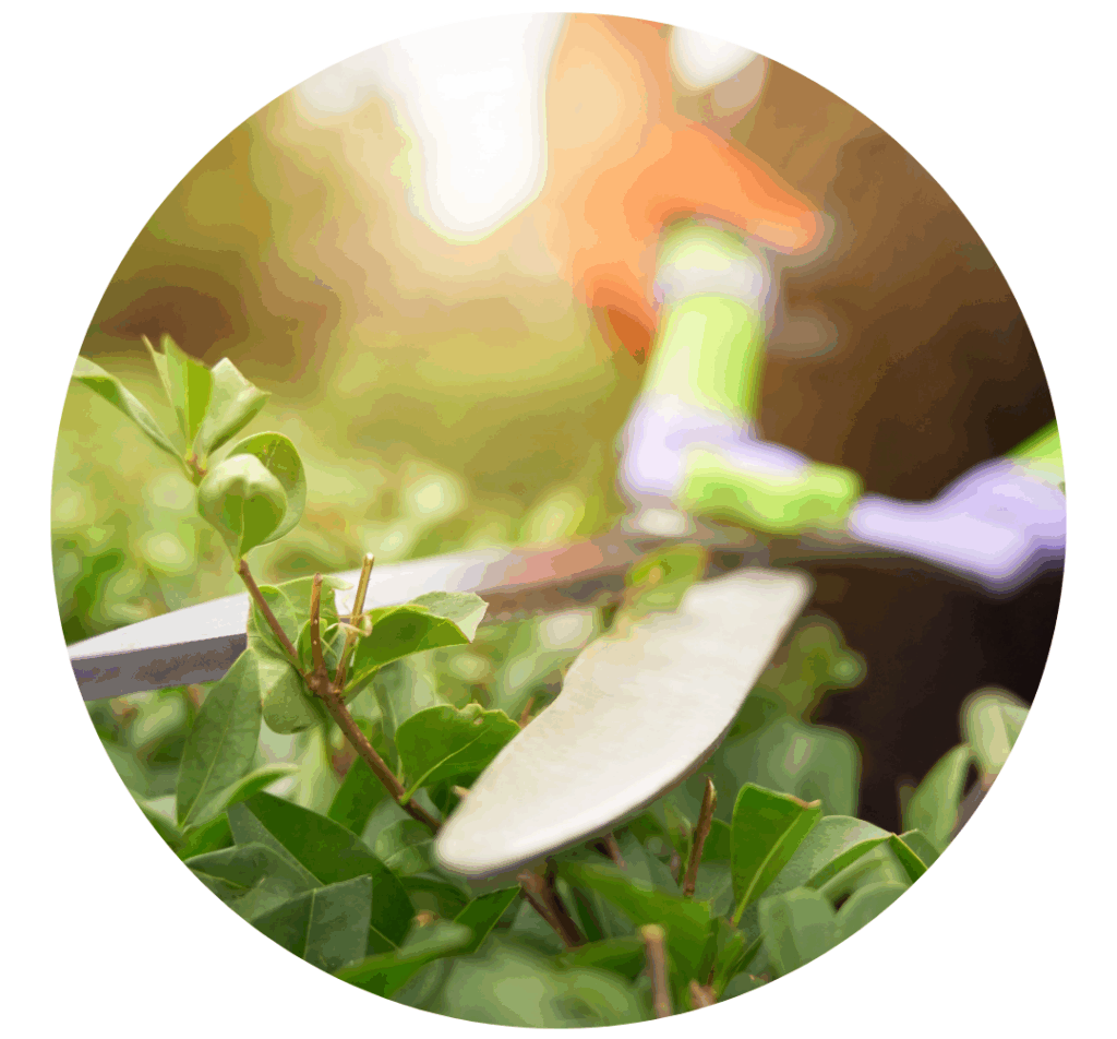 Garden Maintenance - Simon Gardening